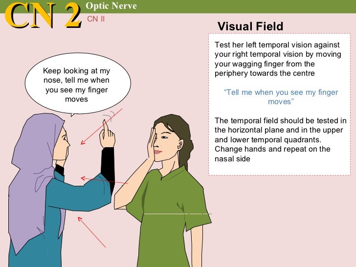 Cranial nerve examination