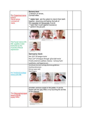 Cranial nerves examination | DOCX
