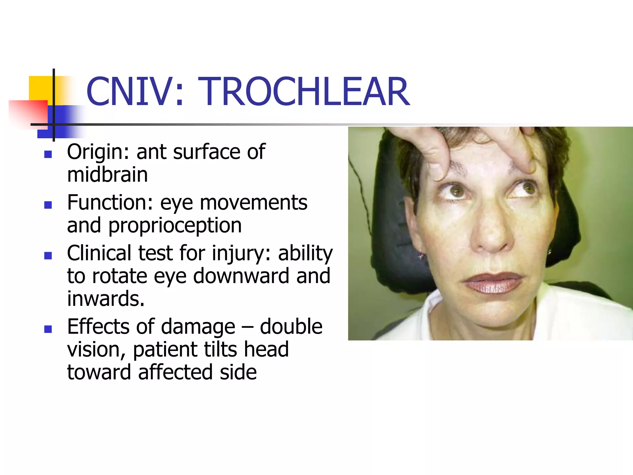 Cranial nerve examination | PPTX