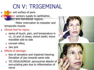 Cranial nerve examination | PPTX