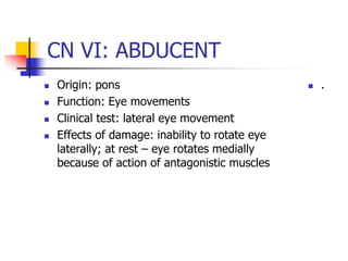 Cranial nerve examination | PPTX