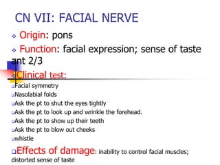 Cranial nerve examination | PPTX