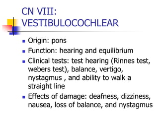Cranial nerve examination | PPTX