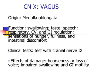 Cranial nerve examination | PPTX
