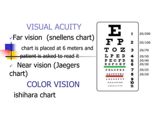 Cranial nerve examination | PPTX
