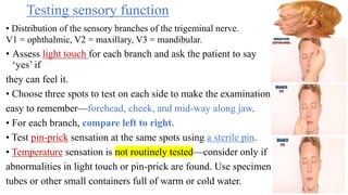 Cranial nerves examination.... | PPTX