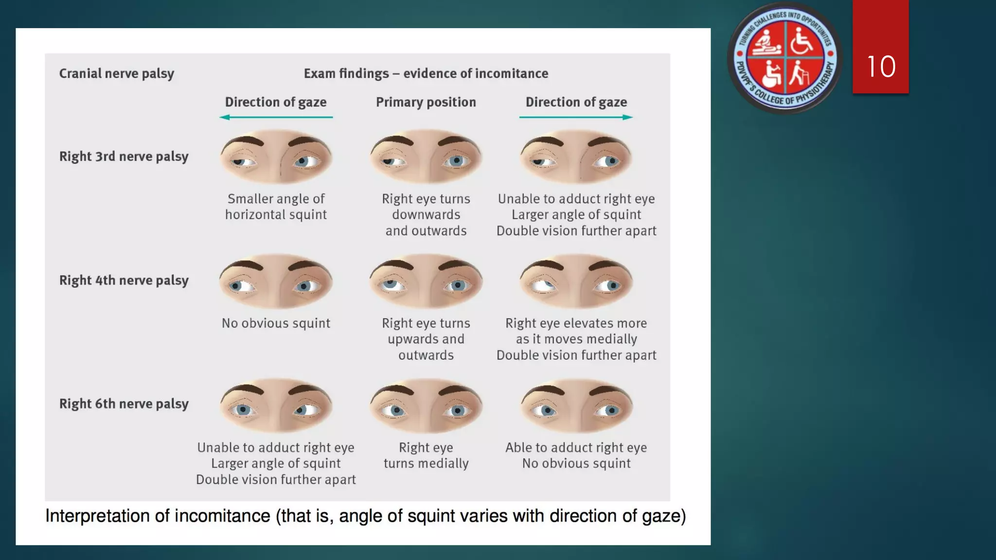Cranial Nerve Examination | PDF