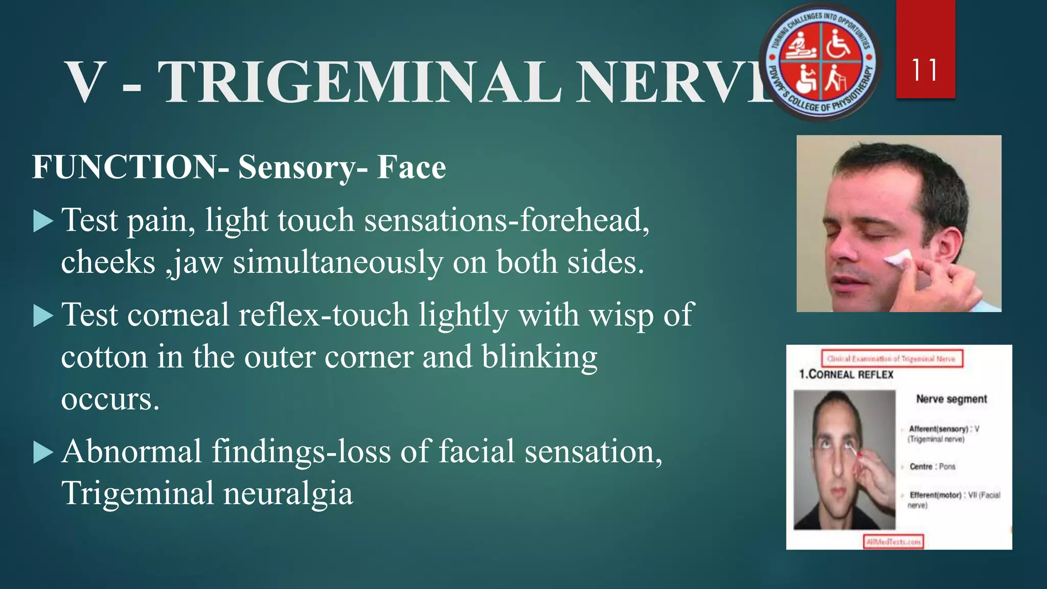 Cranial Nerve Examination | PDF