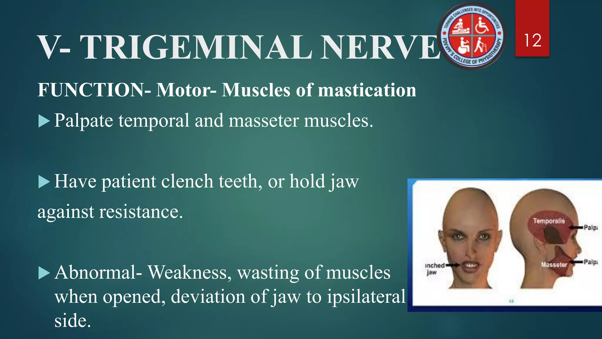 Cranial Nerve Examination | PDF