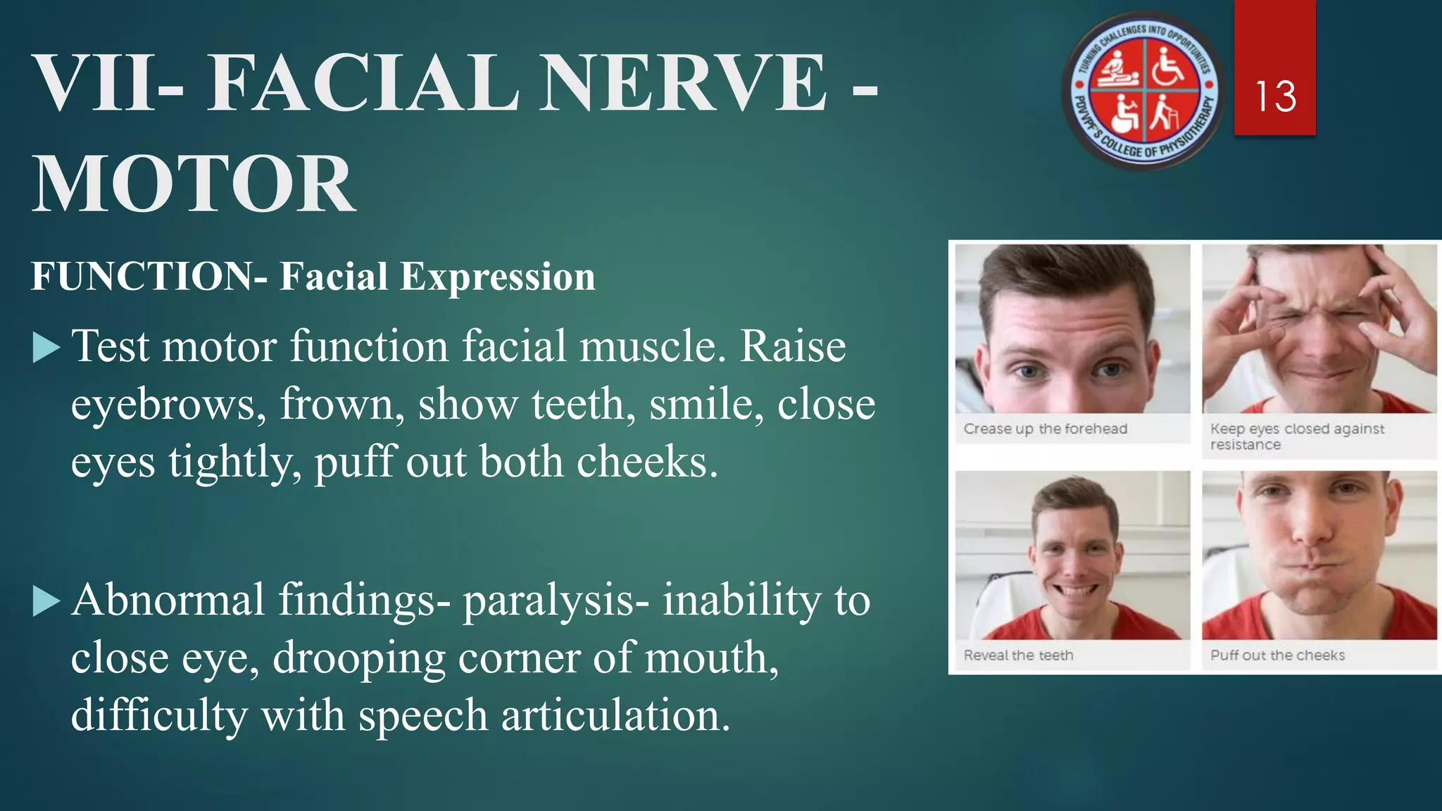 Cranial Nerve Examination | PDF