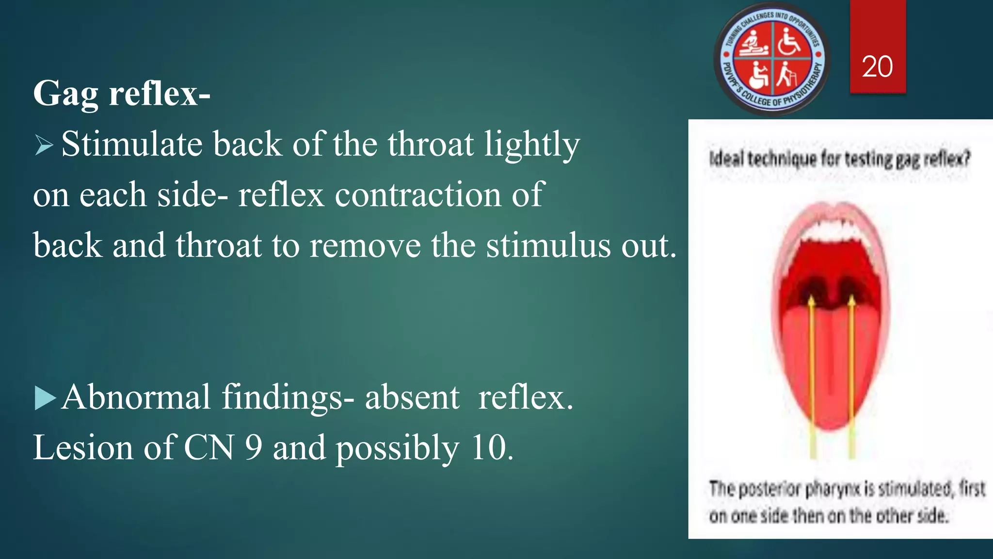 Cranial Nerve Examination | PDF