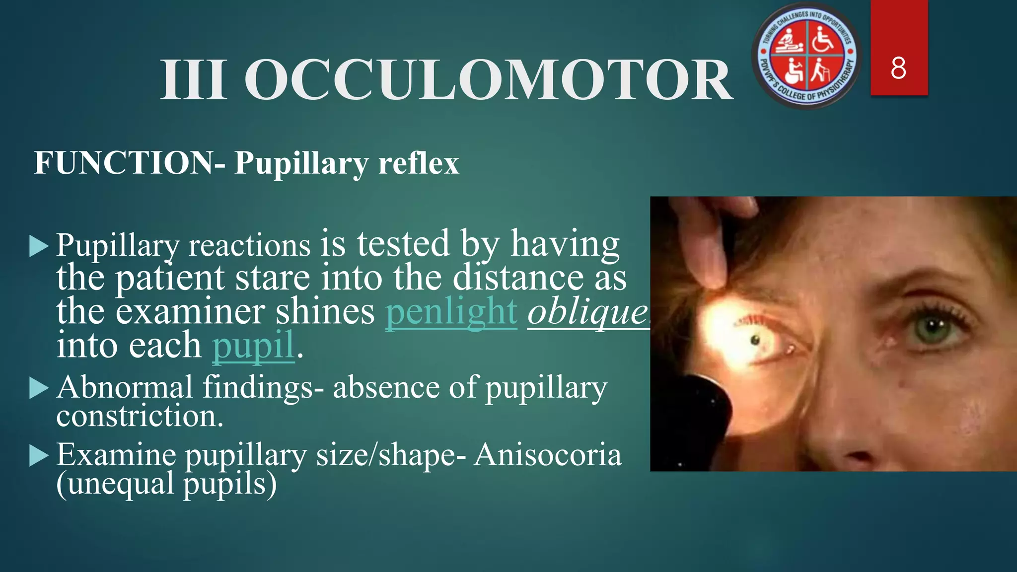 Cranial Nerve Examination | PDF