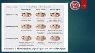 Cranial Nerve Examination | PDF