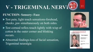 Cranial Nerve Examination | PDF