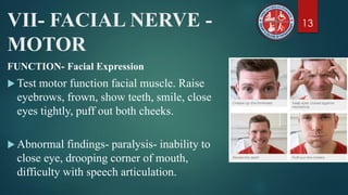 Cranial Nerve Examination | PDF