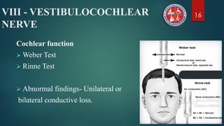 Cranial Nerve Examination | PDF