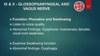 Cranial Nerve Examination | PDF