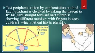 Cranial Nerve Examination | PDF