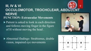 Cranial Nerve Examination | PDF