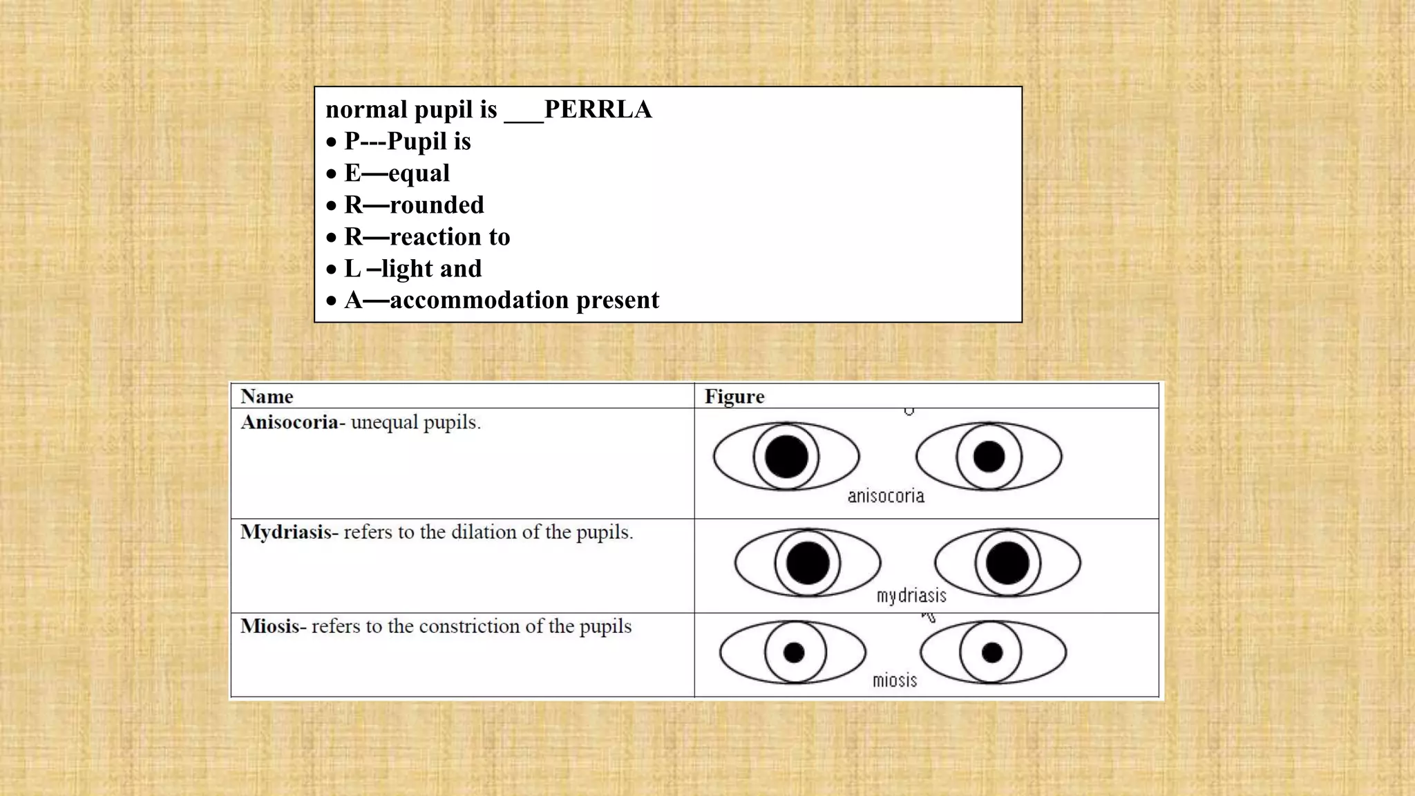 Cranial nerve examination | PPTX