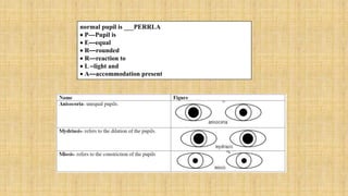 Cranial nerve examination | PPTX