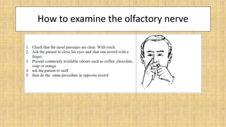 Cranial nerve examination | PPTX