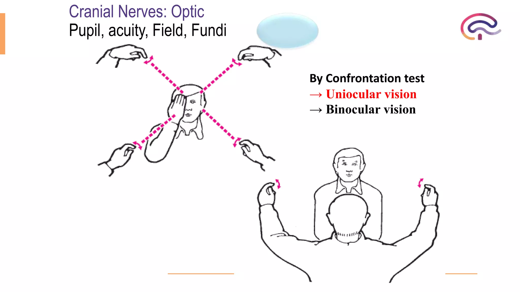 cranial nerve examination | PPTX