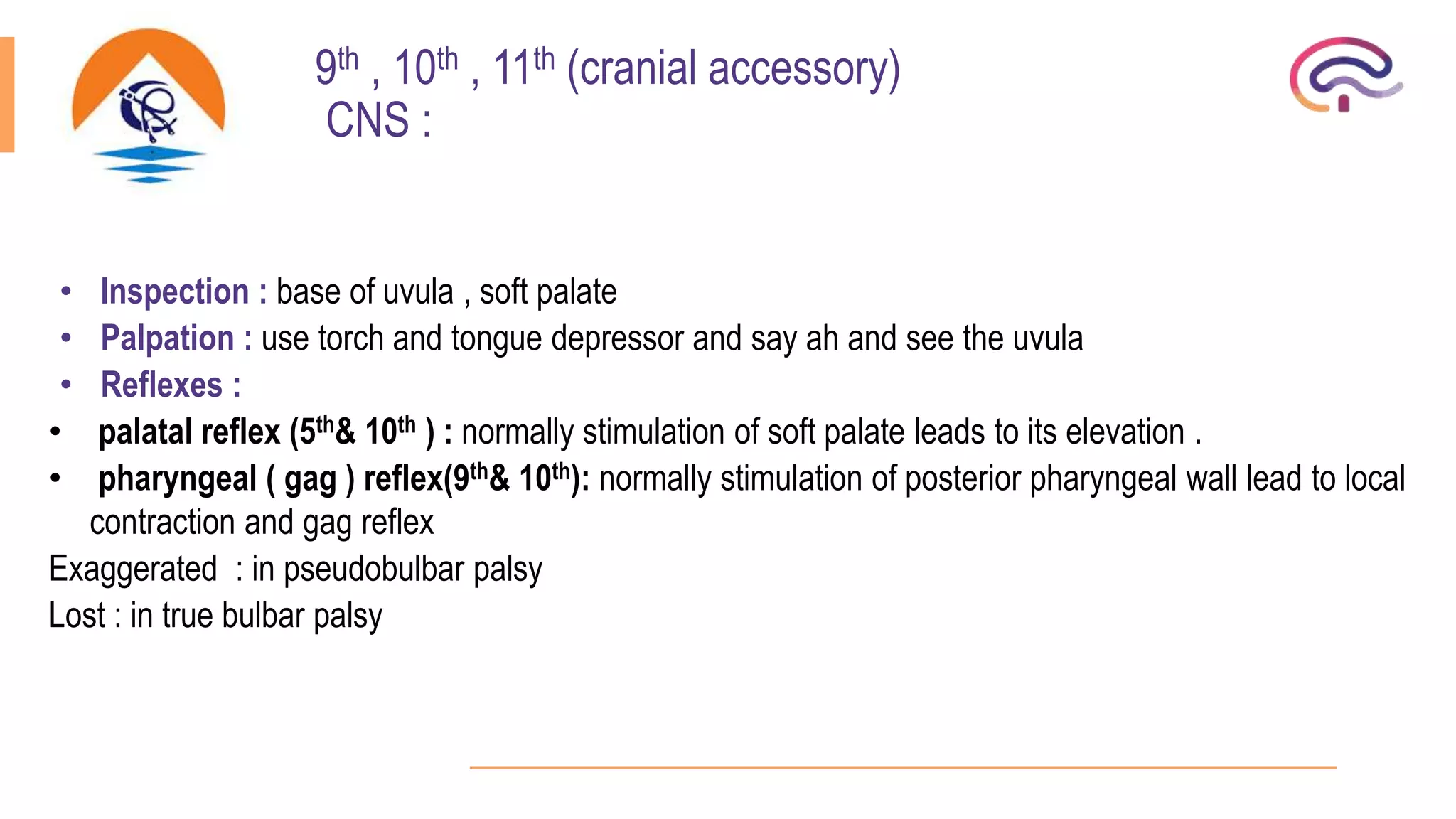 cranial nerve examination | PPTX