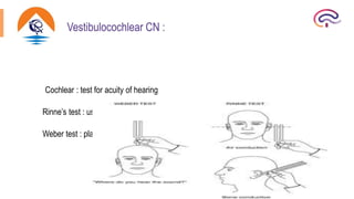 cranial nerve examination | PPTX
