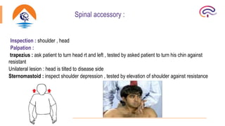 cranial nerve examination | PPTX