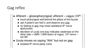 Cranial nerve examination.pptx | Thyroid Disorders | Endocrine and ...