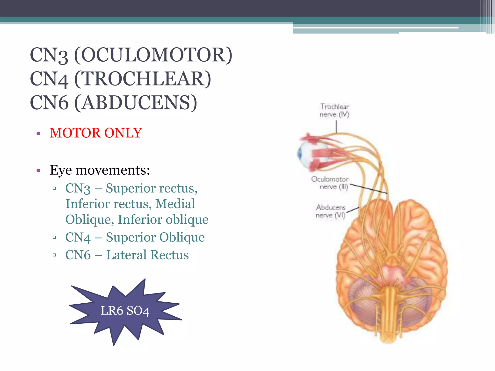 Cranial Nerve Examination.pptx
