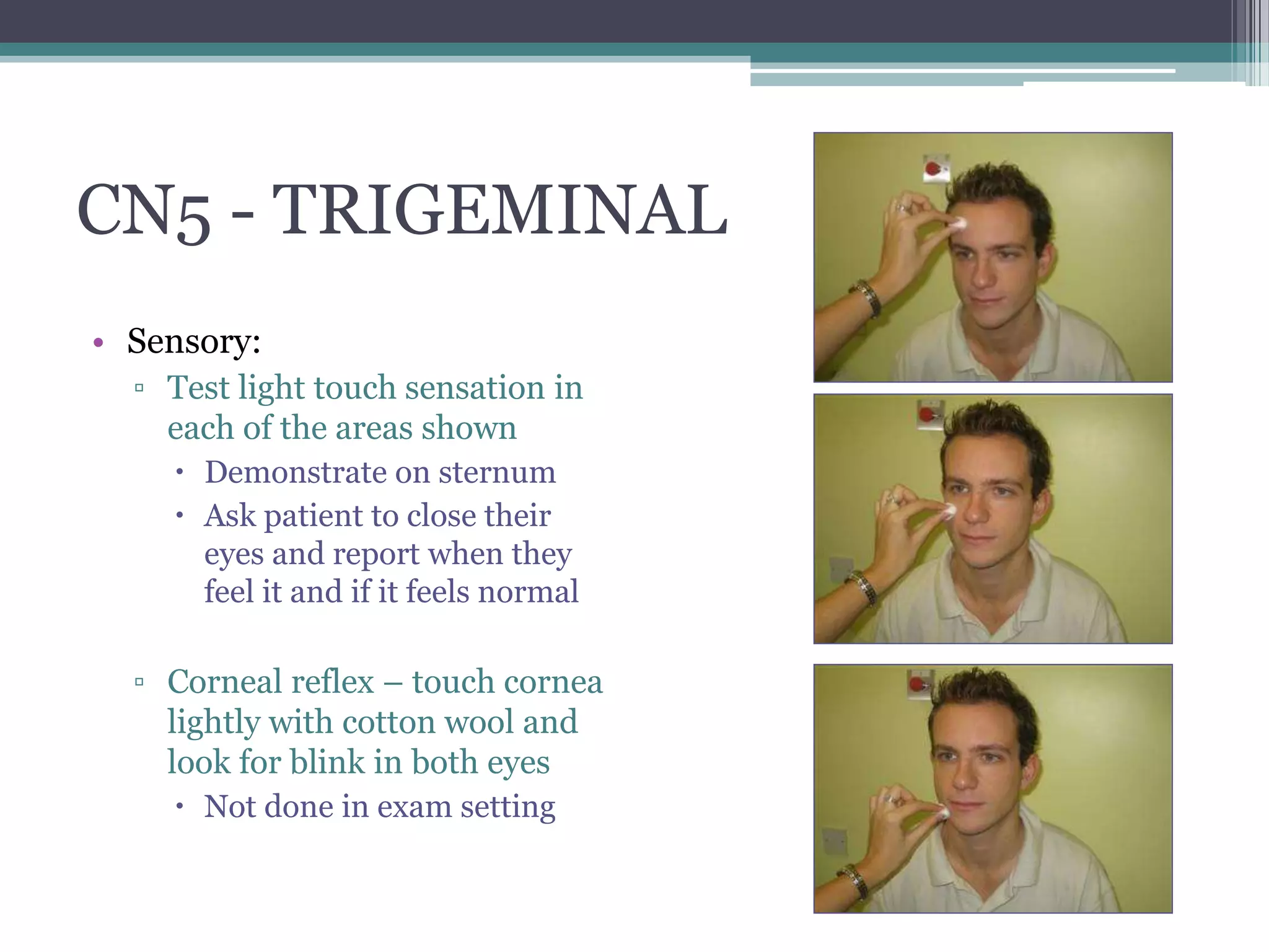 Cranial Nerve Examination.pptx