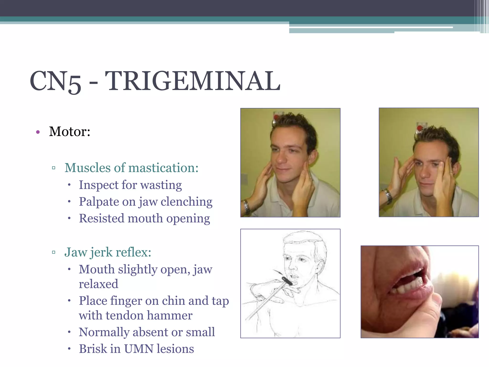 Cranial Nerve Examination.pptx