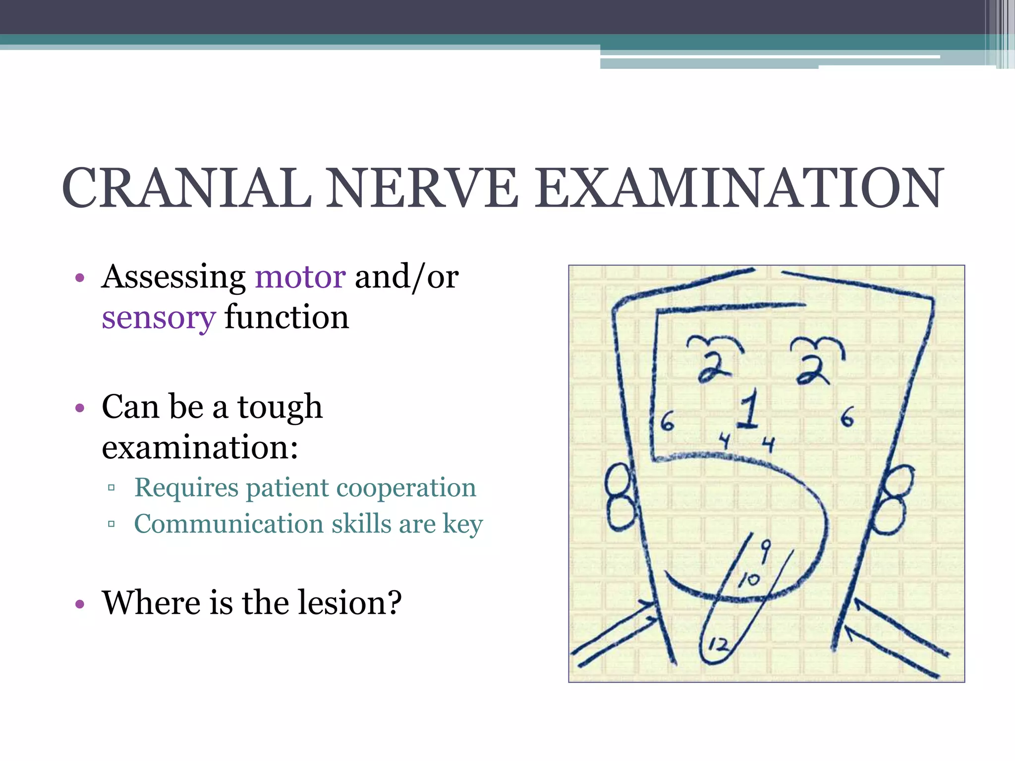Cranial Nerve Examination.pptx