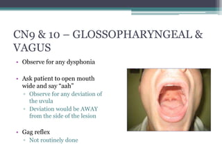 Cranial Nerve Examination.pptx