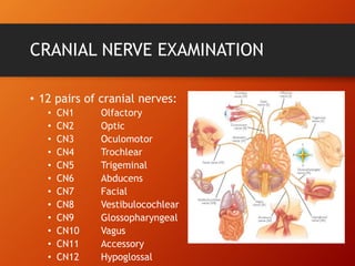 Cranial Nerve Examination.pptx