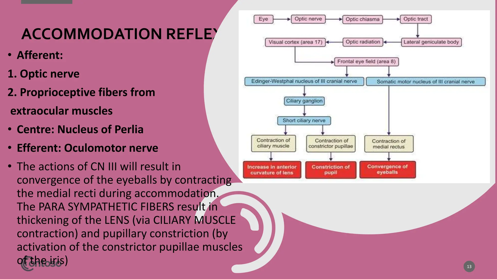 CRANIAL NERVE EXAMINATION.pptx
