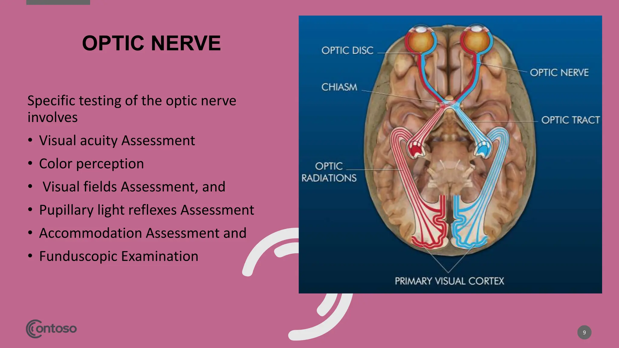 CRANIAL NERVE EXAMINATION.pptx