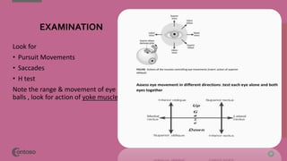 CRANIAL NERVE EXAMINATION.pptx | Ear, Nose and Throat Conditions ...