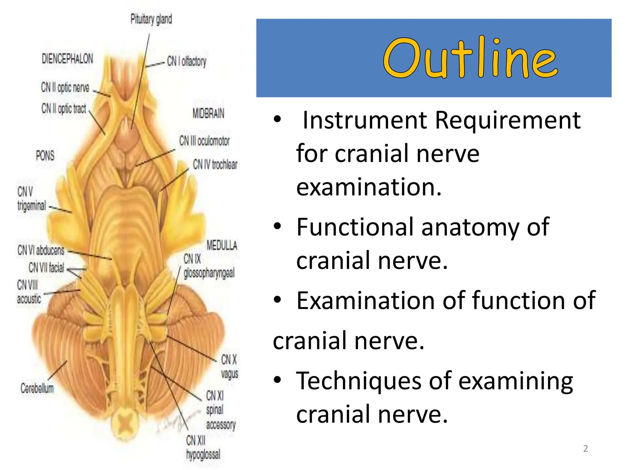 Cranial nerve examination.pptx