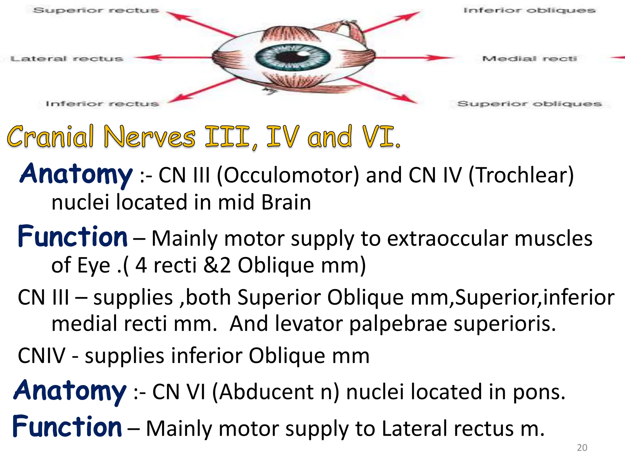 Cranial nerve examination.pptx