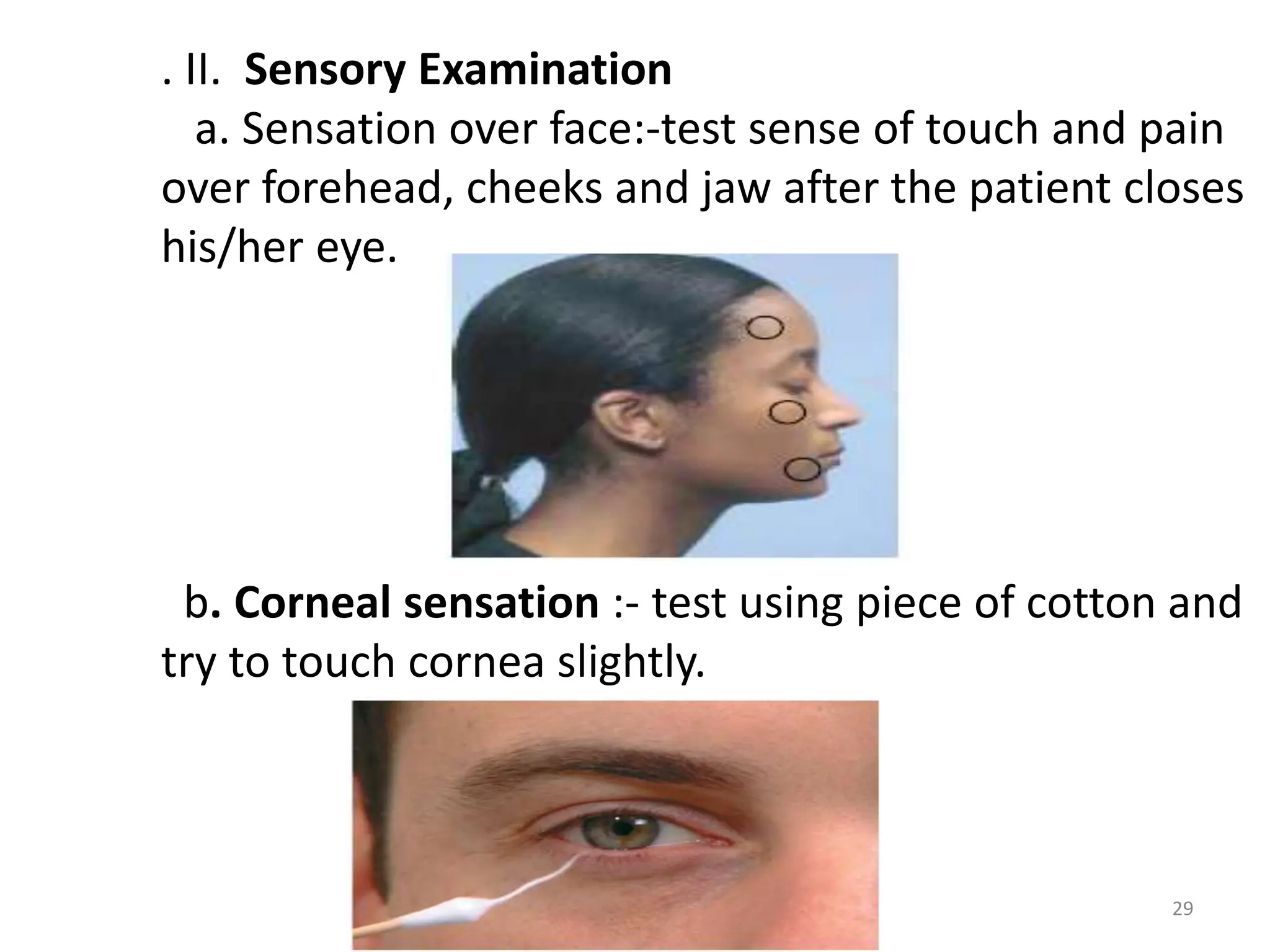Cranial nerve examination.pptx