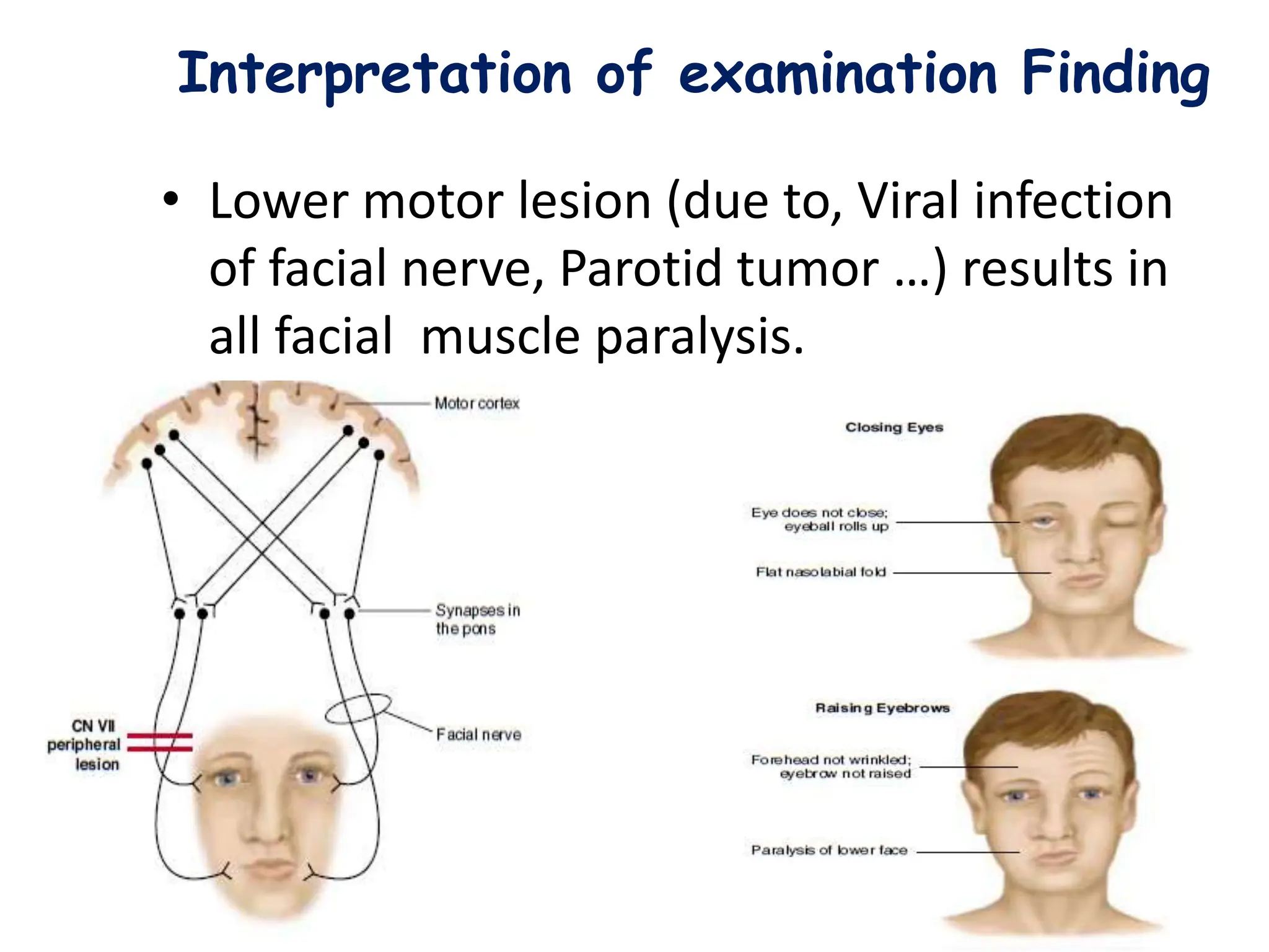 Cranial nerve examination.pptx