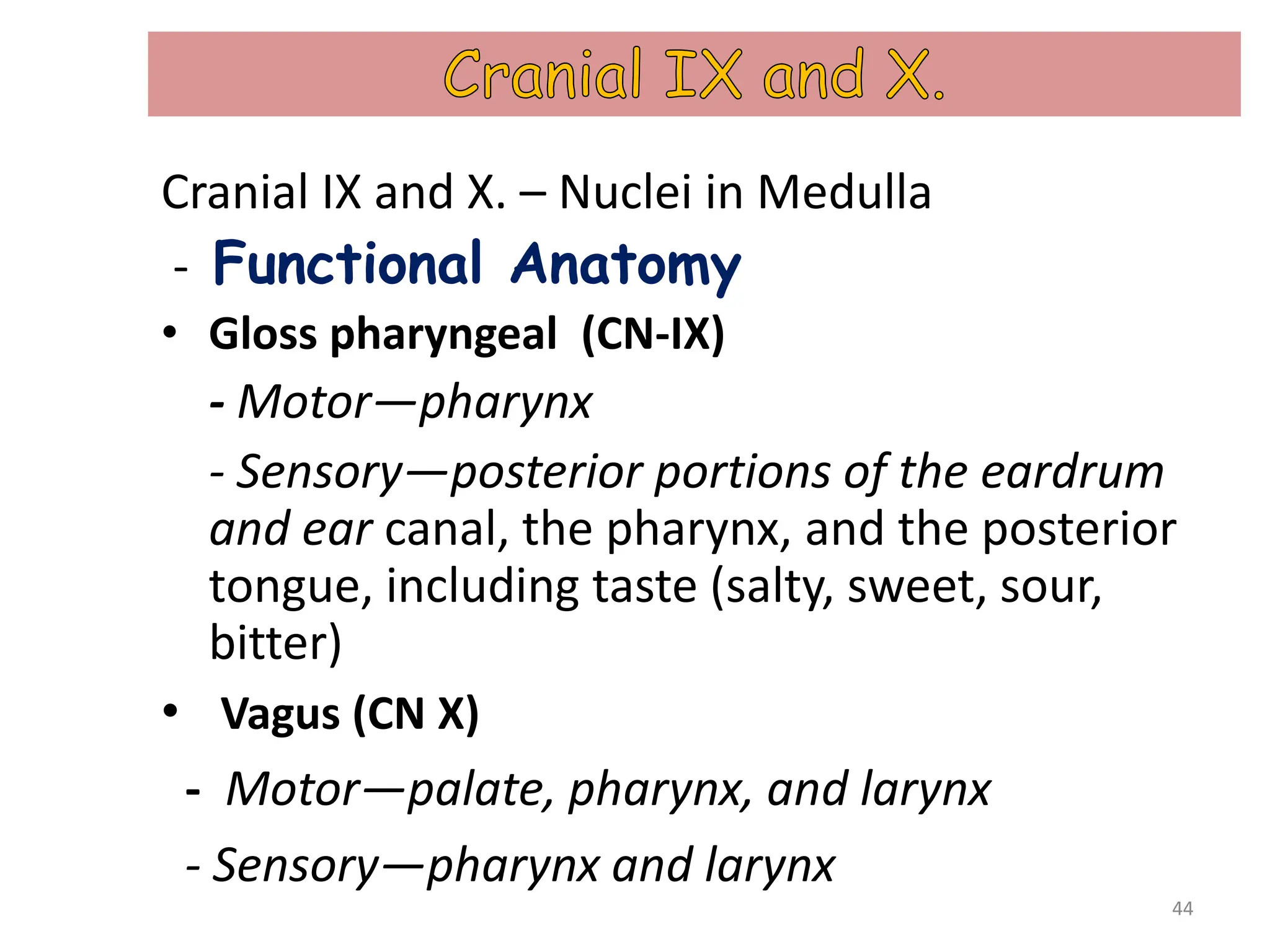 Cranial nerve examination.pptx