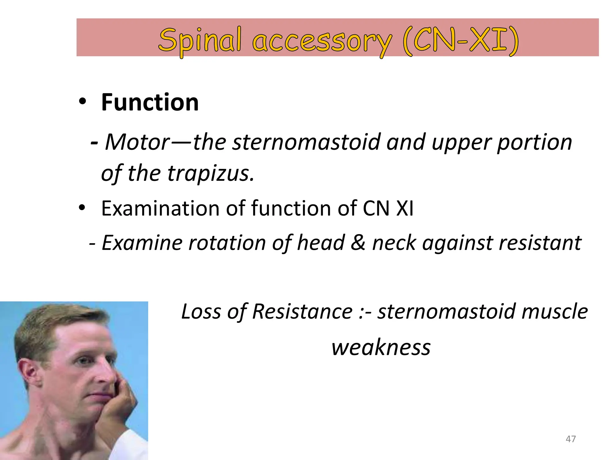 Cranial nerve examination.pptx