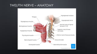Cranial Nerve Examination for mbbs .pptx