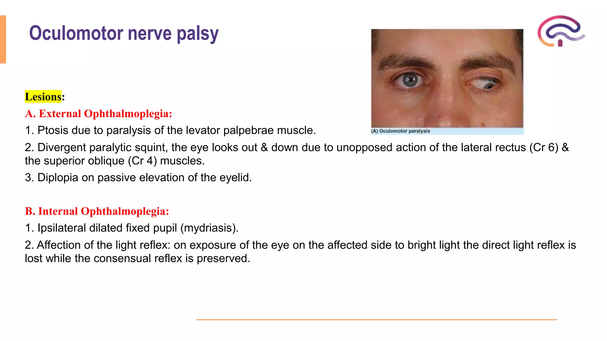 cranial nerve examination & theoritical | PPTX