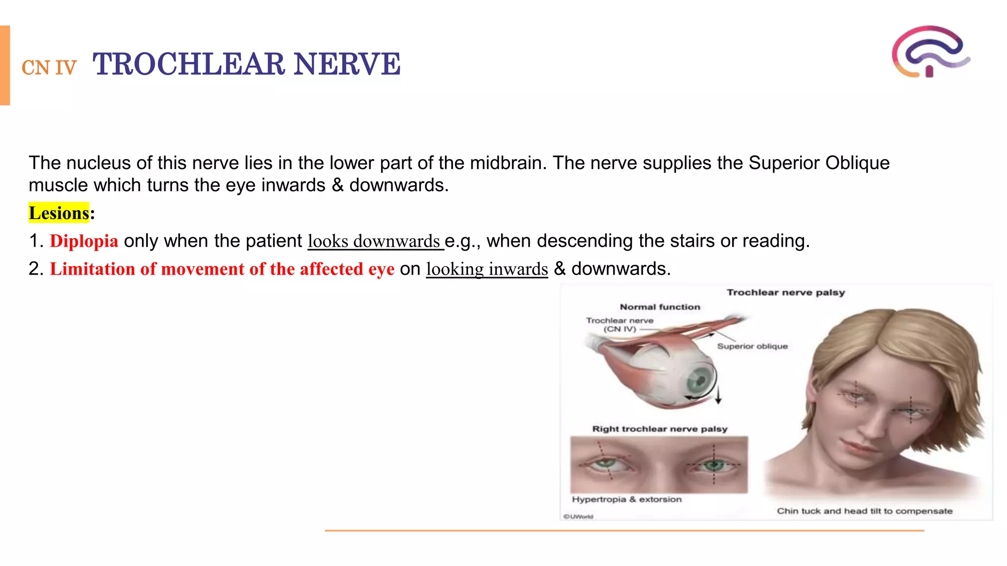 cranial nerve examination & theoritical | PPTX | Eye and Vision ...