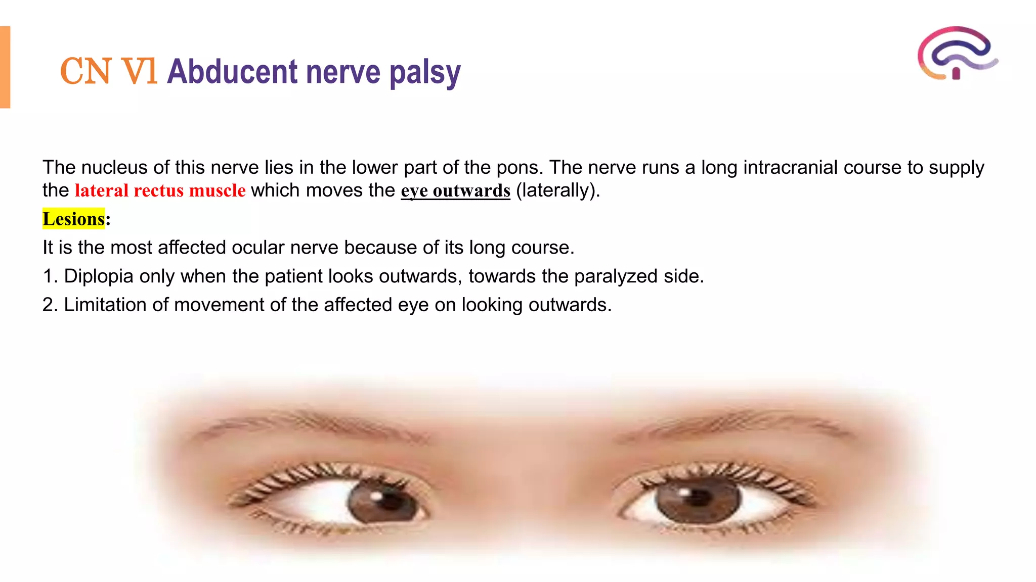 cranial nerve examination & theoritical | PPTX